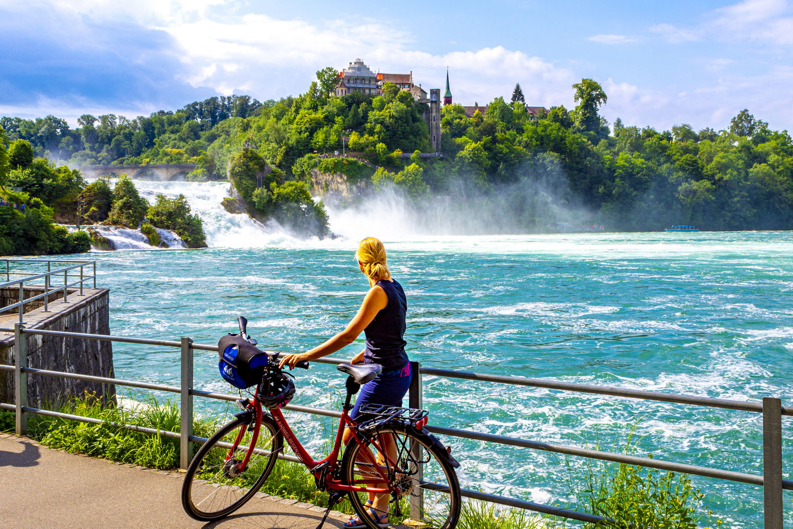 Rhine Falls Map